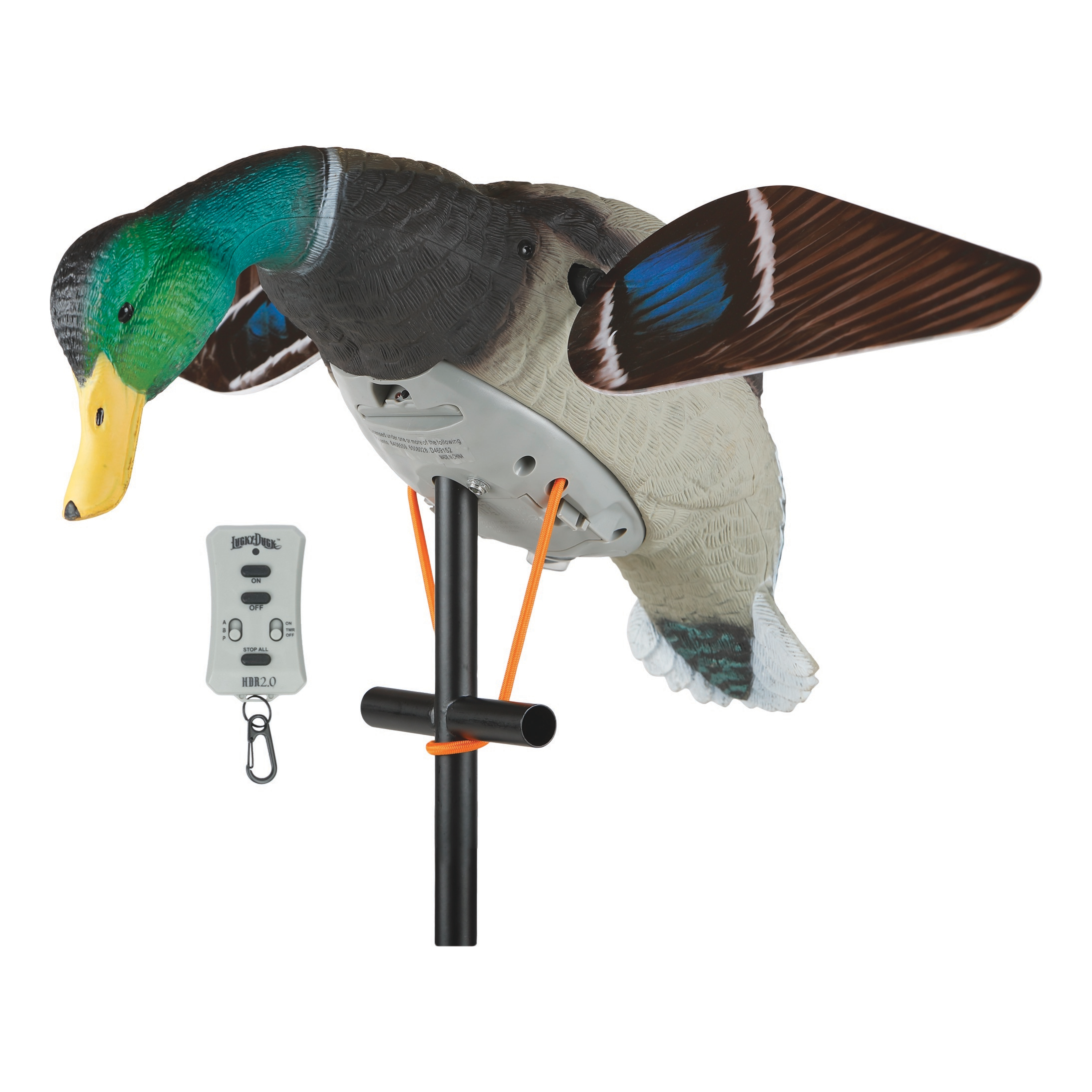 Best Mallard Duck Decoys: Over 300 Hunters Surveyed